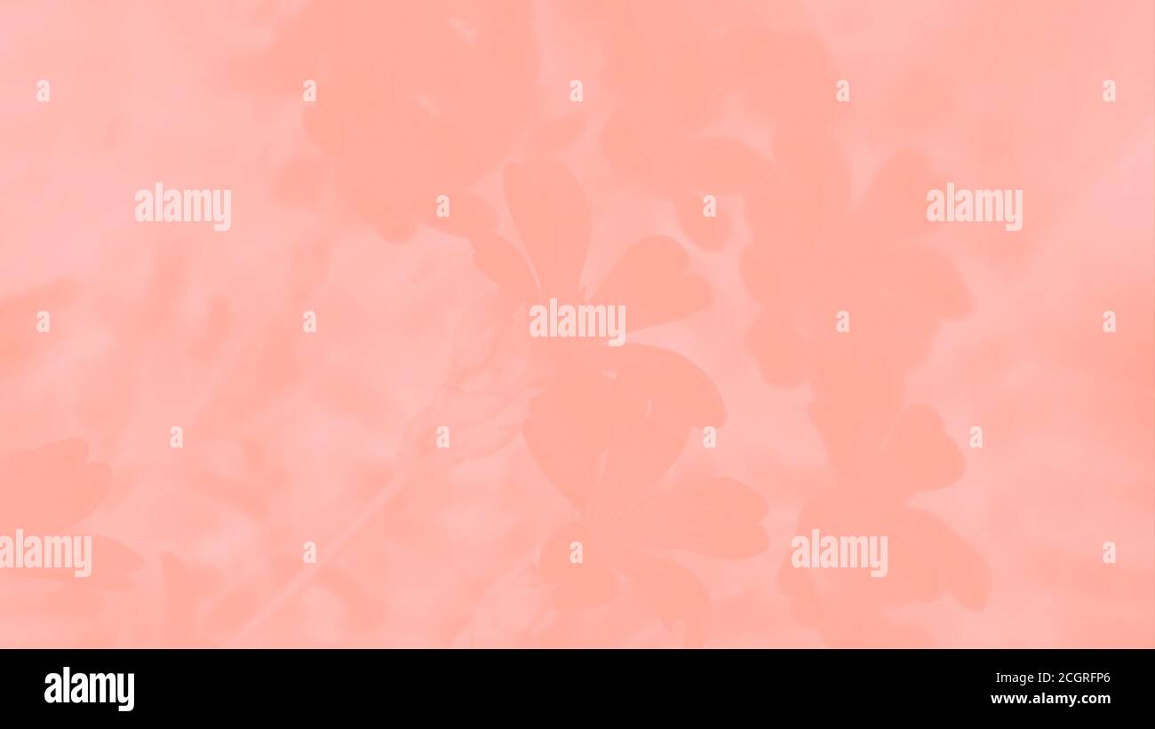 Pink coral background with flowers pattern, 16 on 9 Stock Photo - Alamy