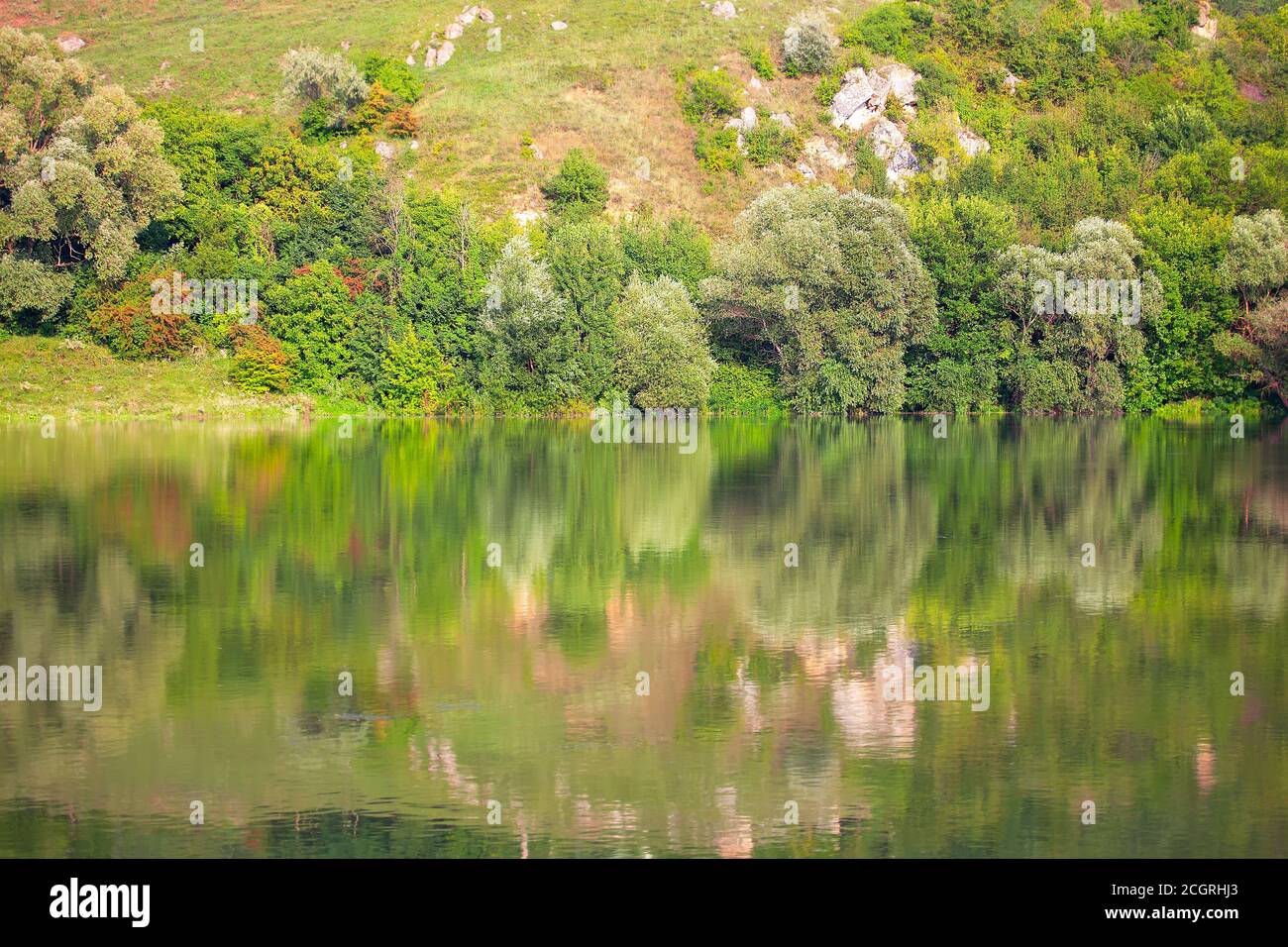 Idyllic nature reflection in the water . Fresh green scenery Stock ...