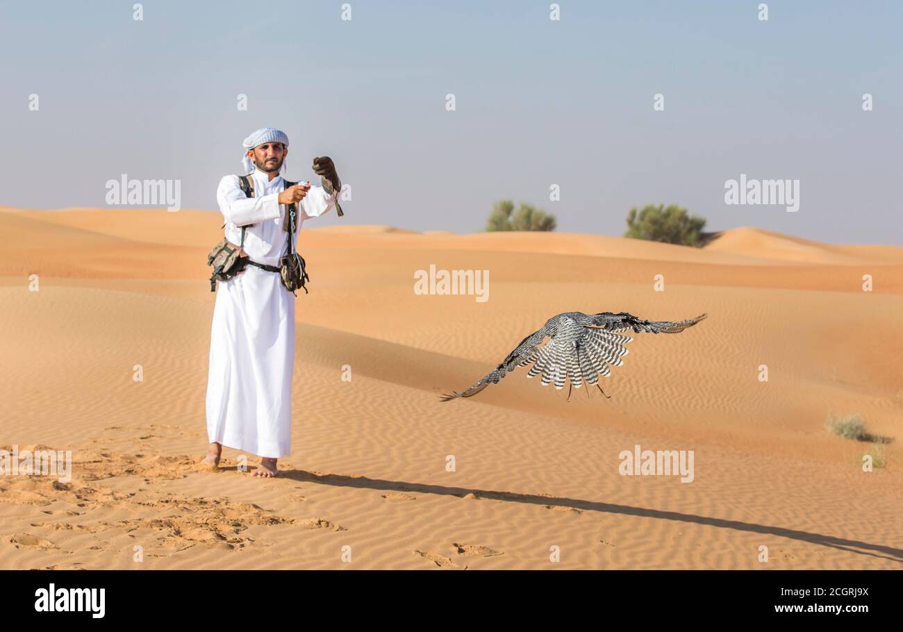 Middle east birding hi-res stock photography and images - Alamy