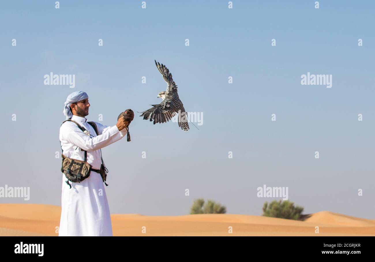 Dubai, UAE, November 19th, 2016: A falconer in traditional outfit ...