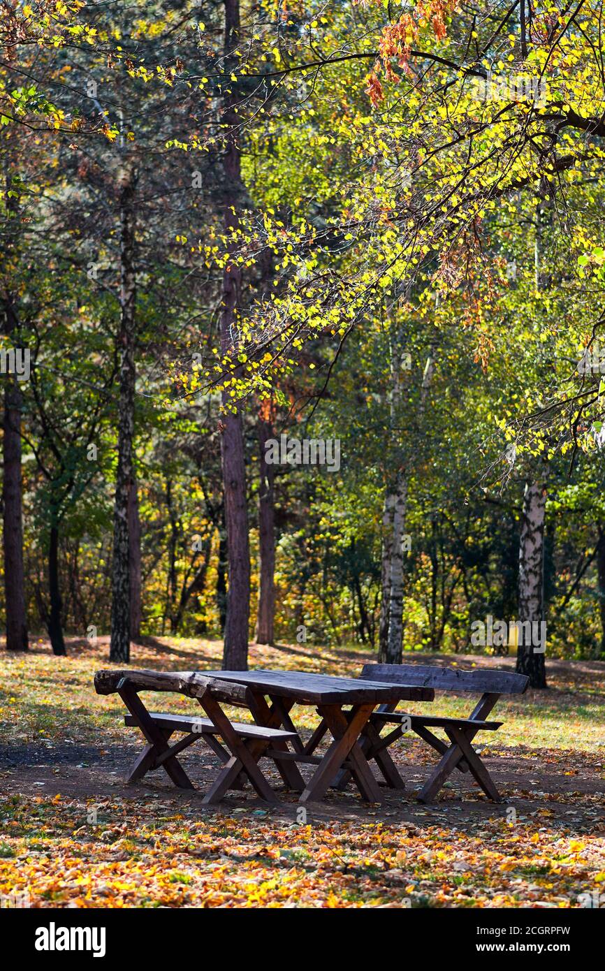 Zvezdara park hi-res stock photography and images - Alamy