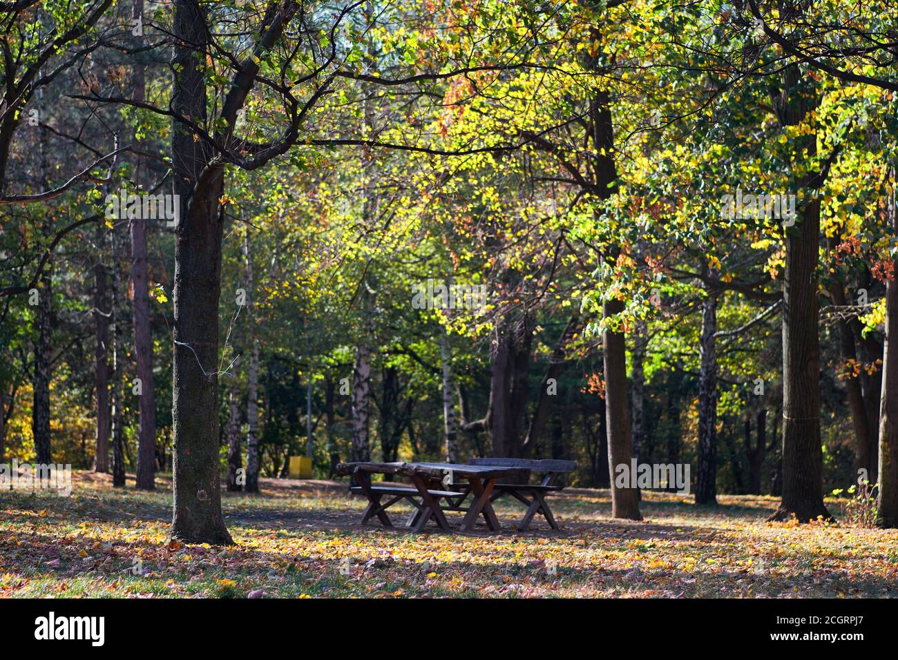 Picnic table in Zvezdara forest public park in Belgrade, capital of ...