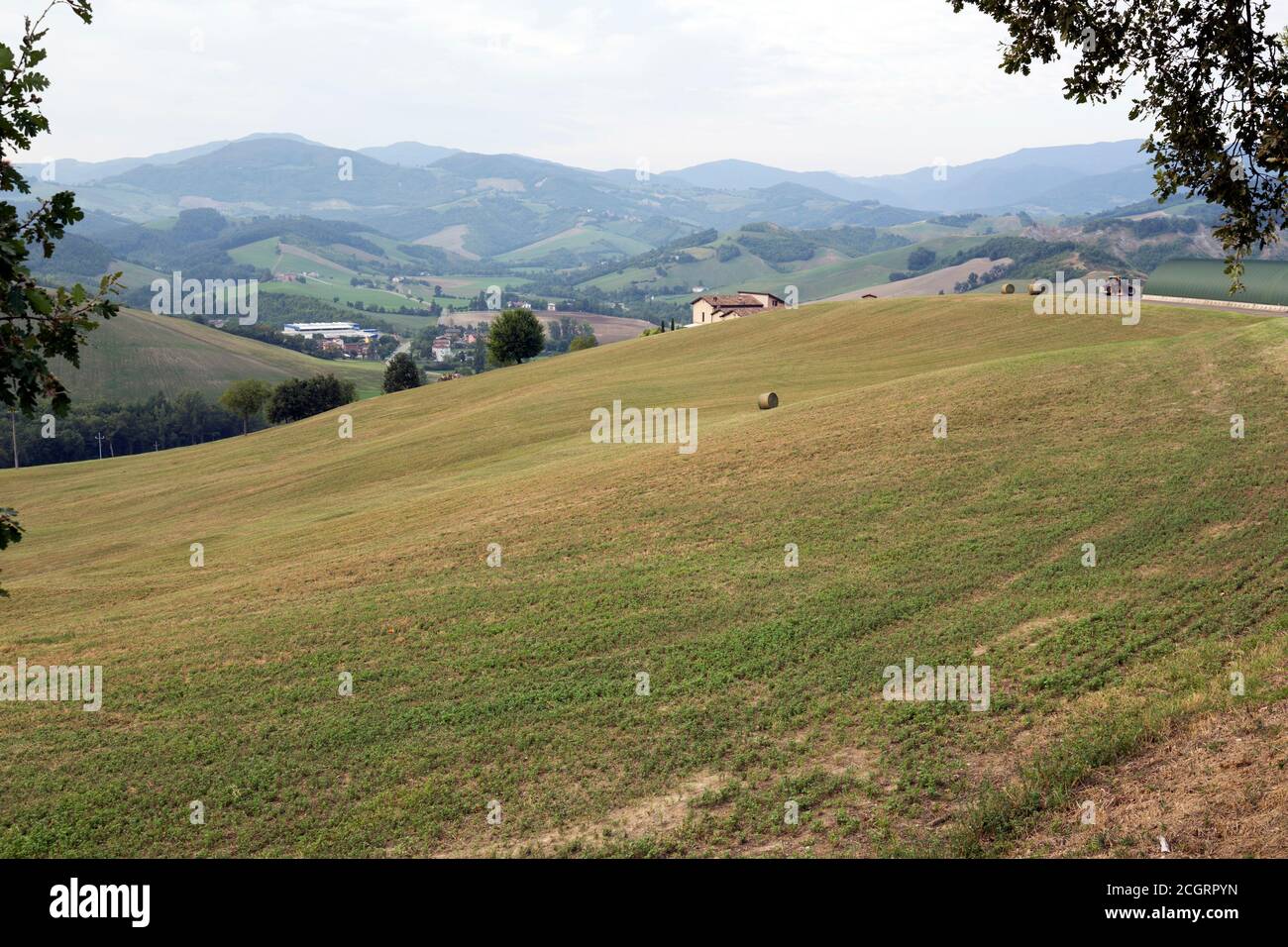 Vía taro hi-res stock photography and images - Alamy