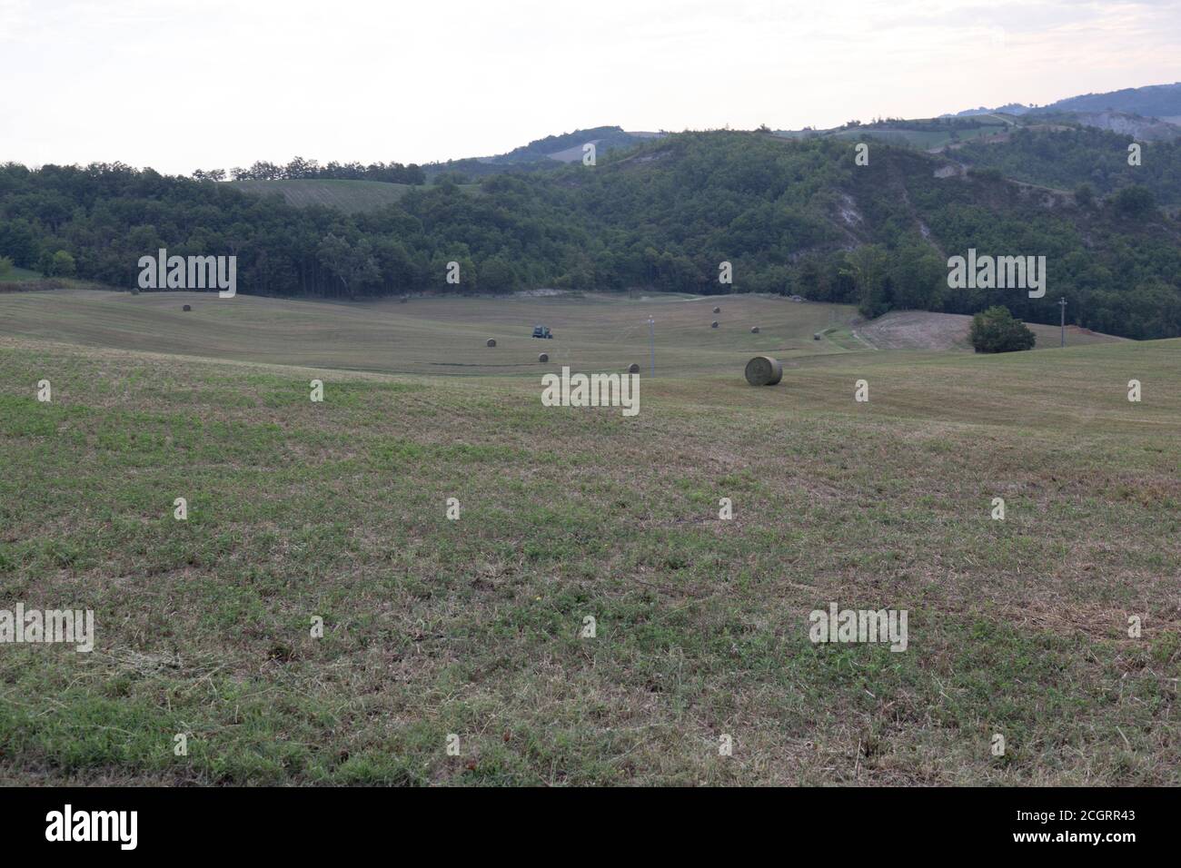 Vía taro hi-res stock photography and images - Alamy