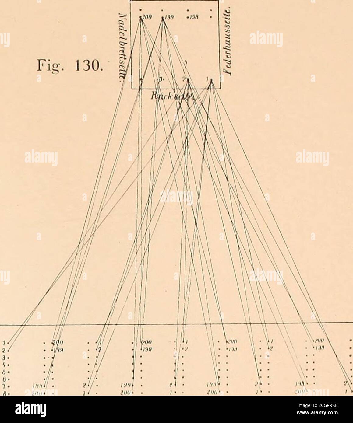 . Ausführliches Handbuch der Weberei. Ein Lehr- und Hilfsbuch für ...