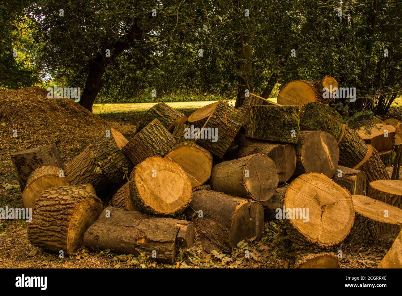 Log fires hi-res stock photography and images - Alamy