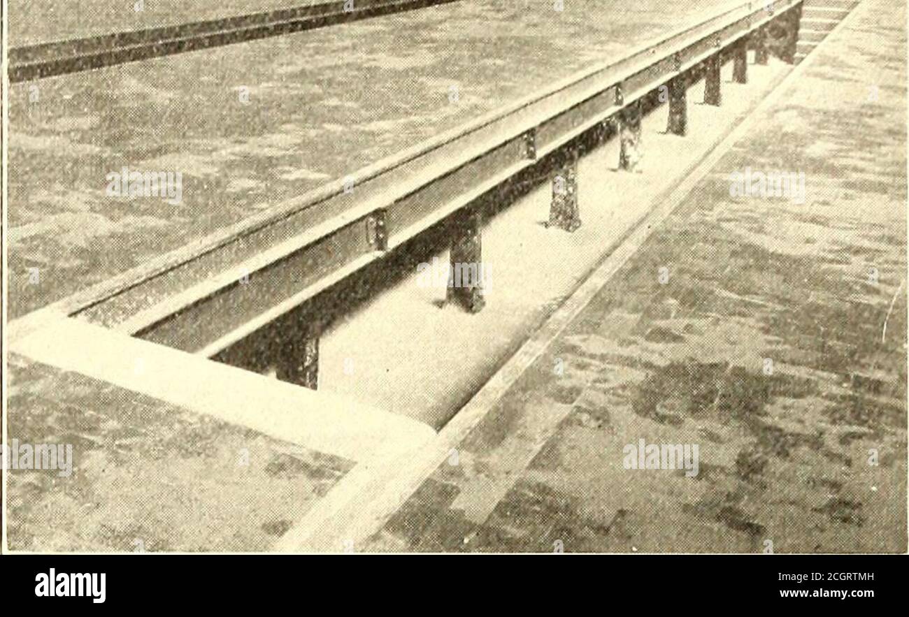 Pitarea hi-res stock photography and images - Alamy