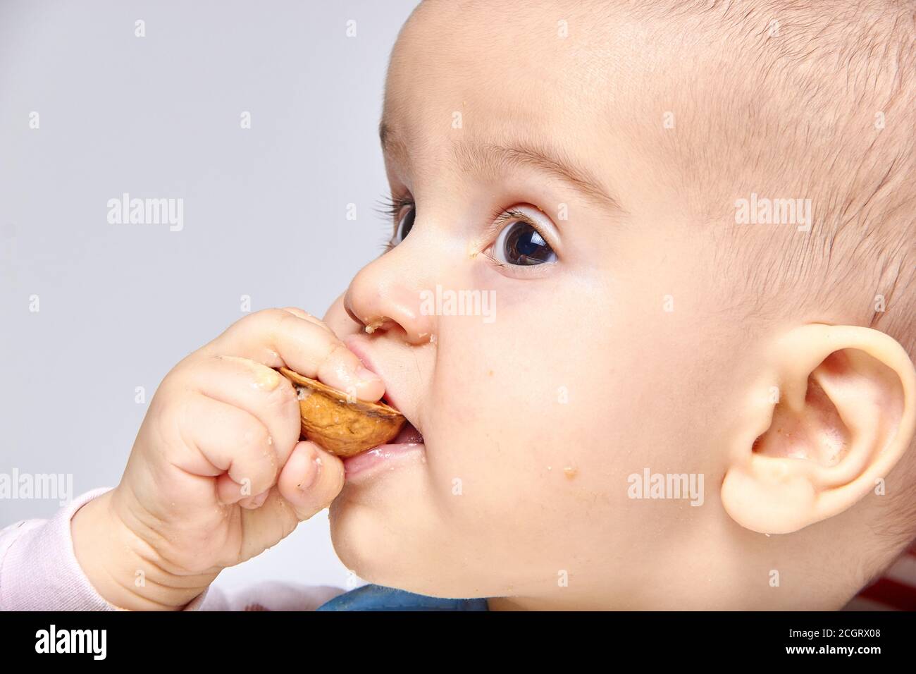 first baby teeth baby nibbles a nut Stock Photo - Alamy