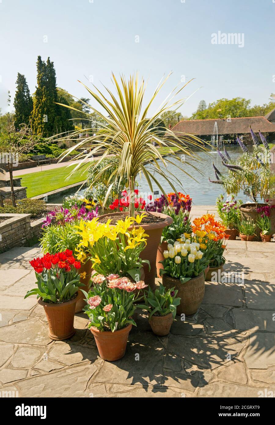 Colourdul flowers hi-res stock photography and images - Alamy