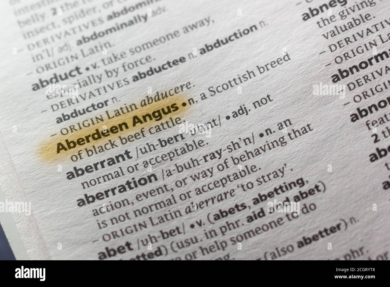 The word or phrase Aberdeen Angus in a dictionary highlighted with ...