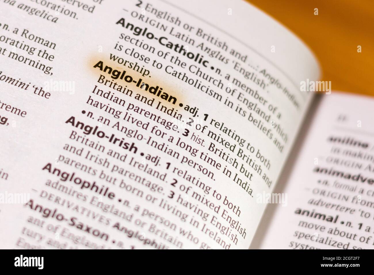 The word or phrase Anglo-Indian in a dictionary highlighted with marker ...