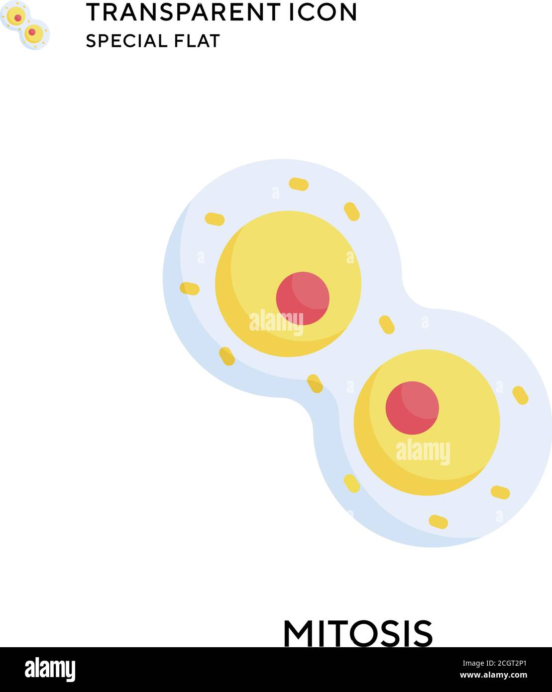 Mitosis cell cycle microscope Stock Vector Images - Alamy