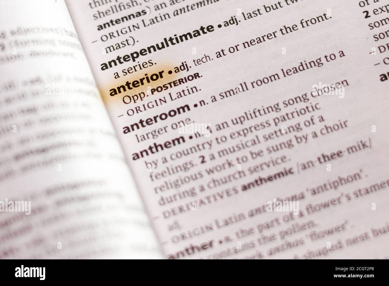 The word or phrase Anterior in a dictionary highlighted with marker ...