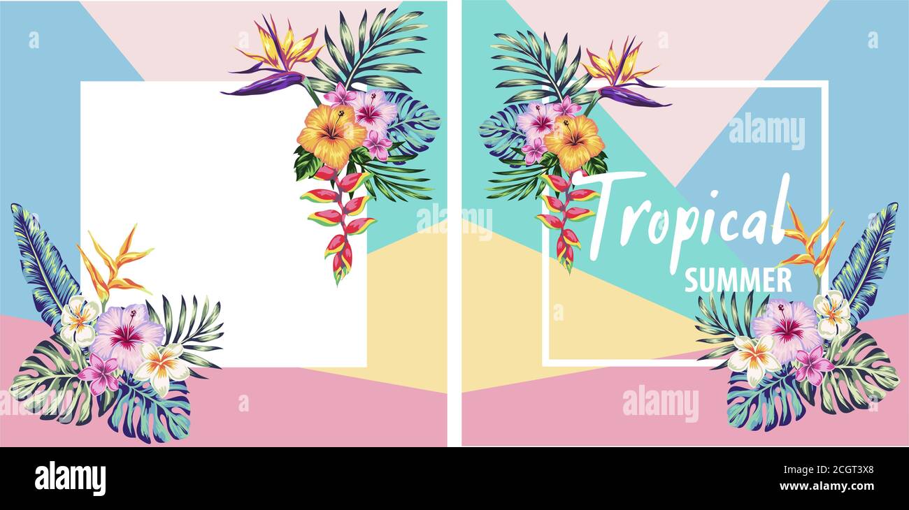 tropical collection with exotic flowers and palm leaves Design, stories ...
