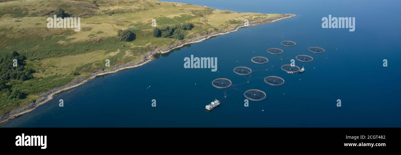Loch awe farm hi-res stock photography and images - Alamy