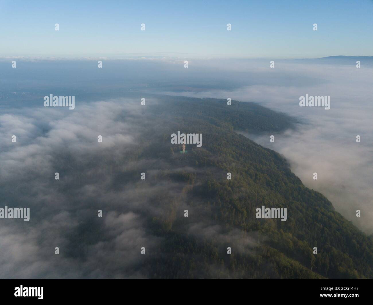 Misty trees from above. Aerial view of Morning fog and sunrise in ...