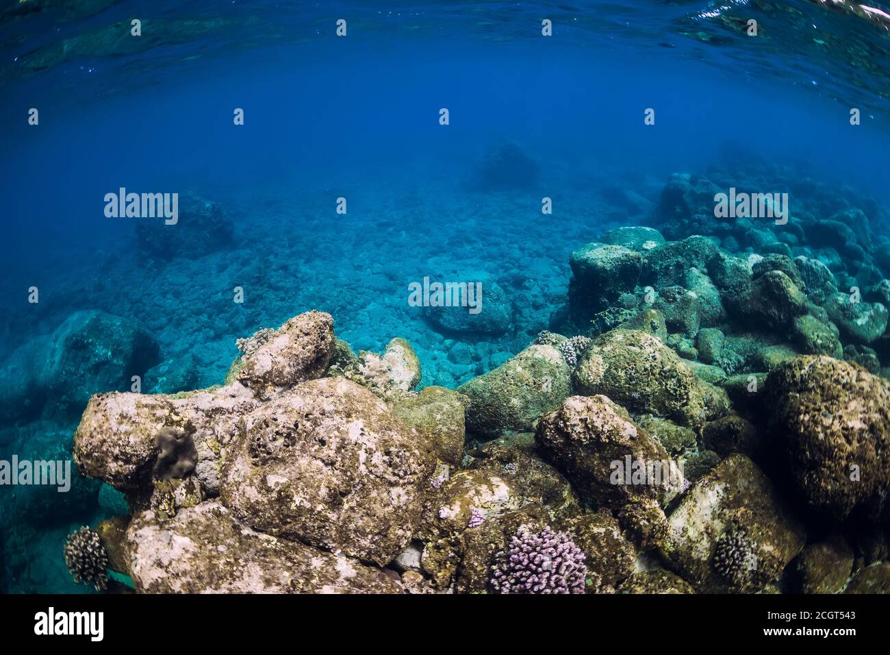 Tranquil transparent hi-res stock photography and images - Alamy