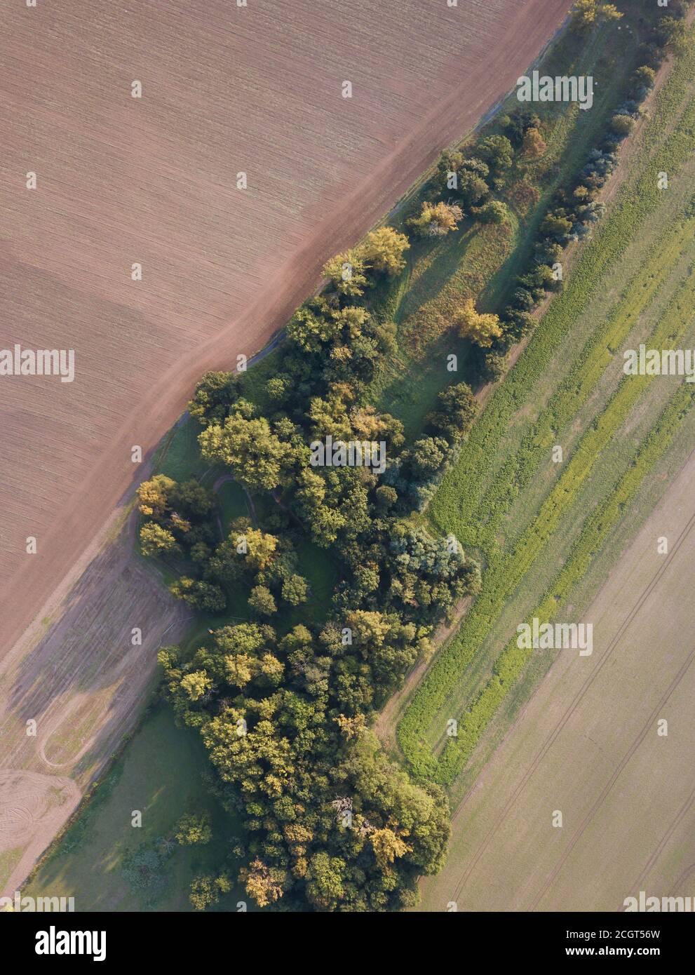 Top view of the river with turns of meanders and green forests in ...