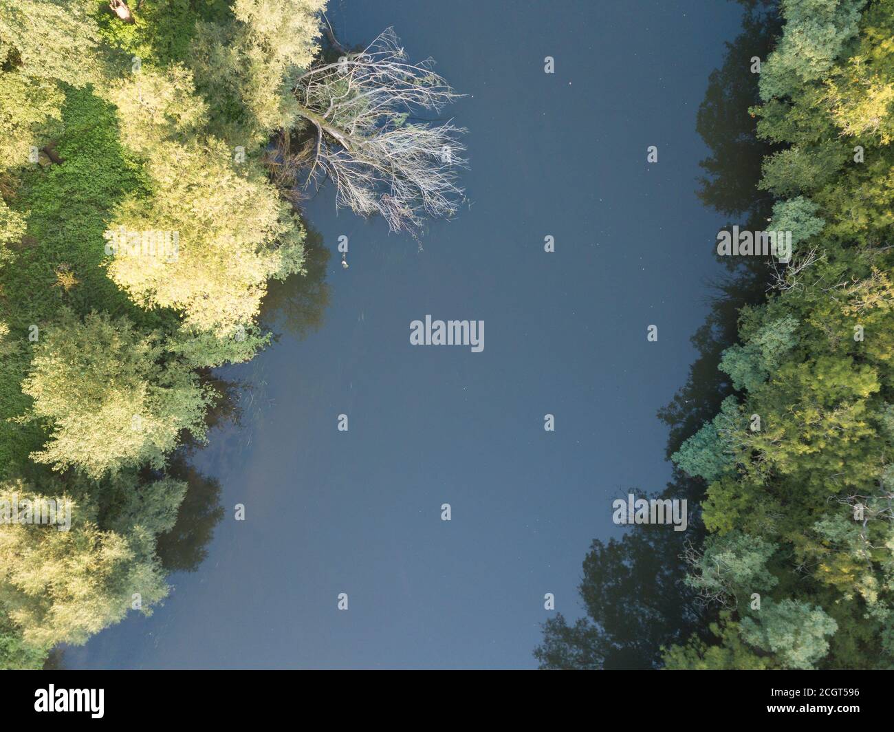 Top view of the river with turns of meanders and green forests in ...