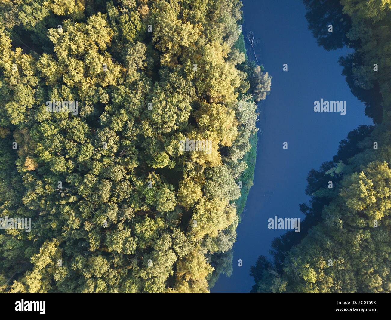 Top view of the river with turns of meanders and green forests in ...