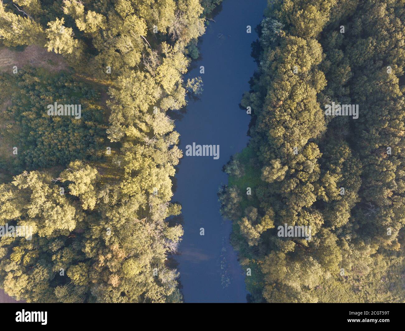 Top view of the river with turns of meanders and green forests in ...