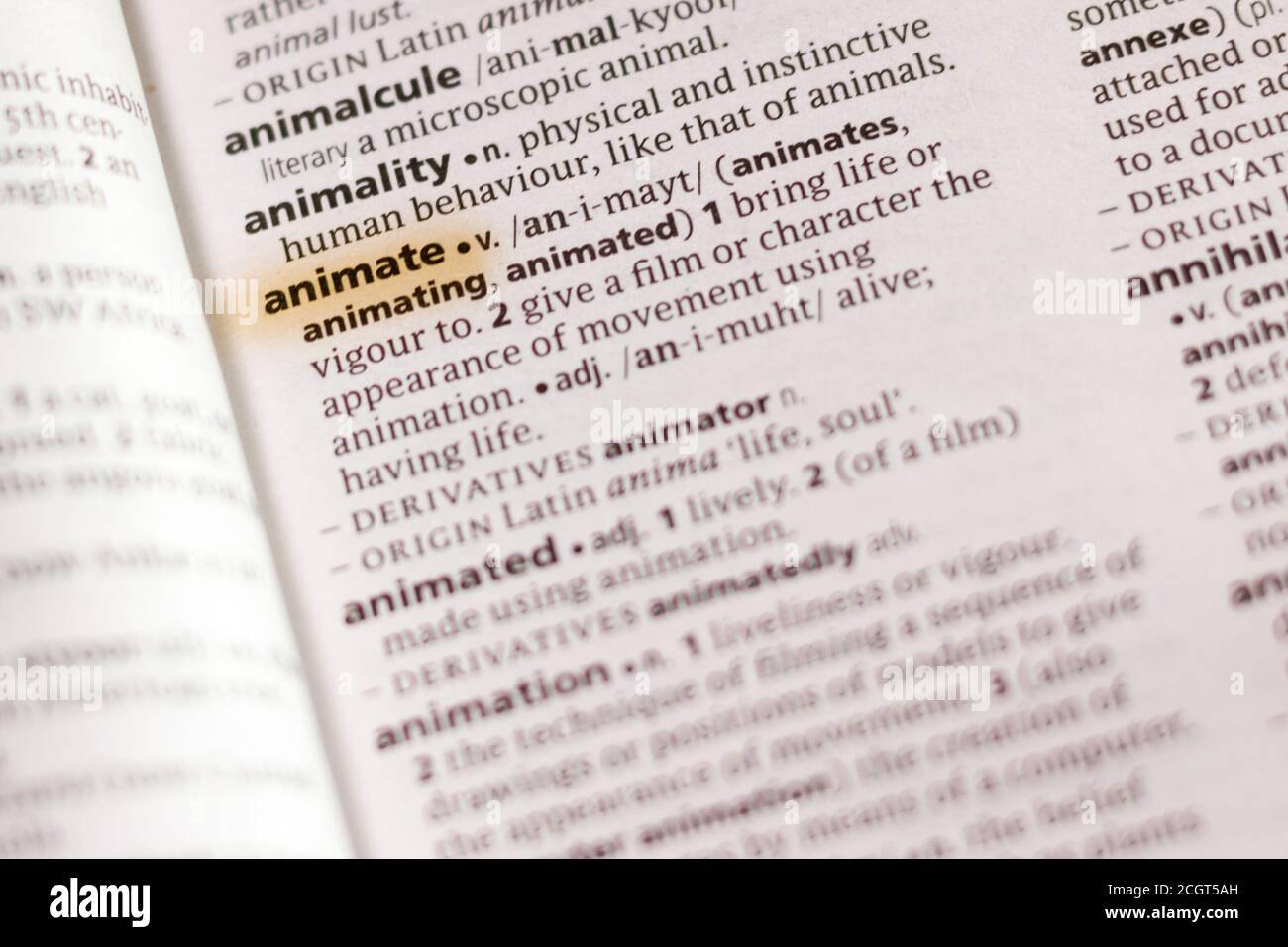 The word or phrase Animate in a dictionary highlighted with marker ...
