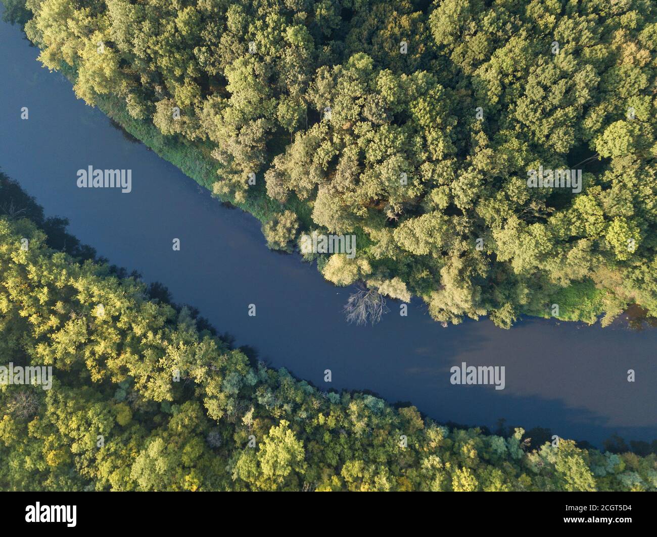 Top view of the river with turns of meanders and green forests in ...
