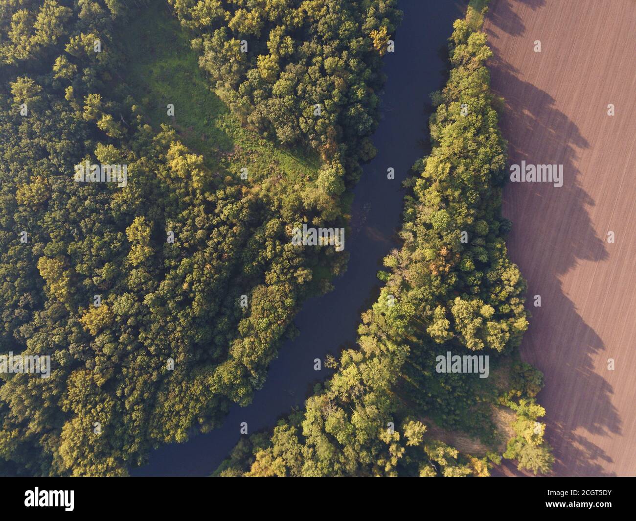 Top view of the river with turns of meanders and green forests in ...