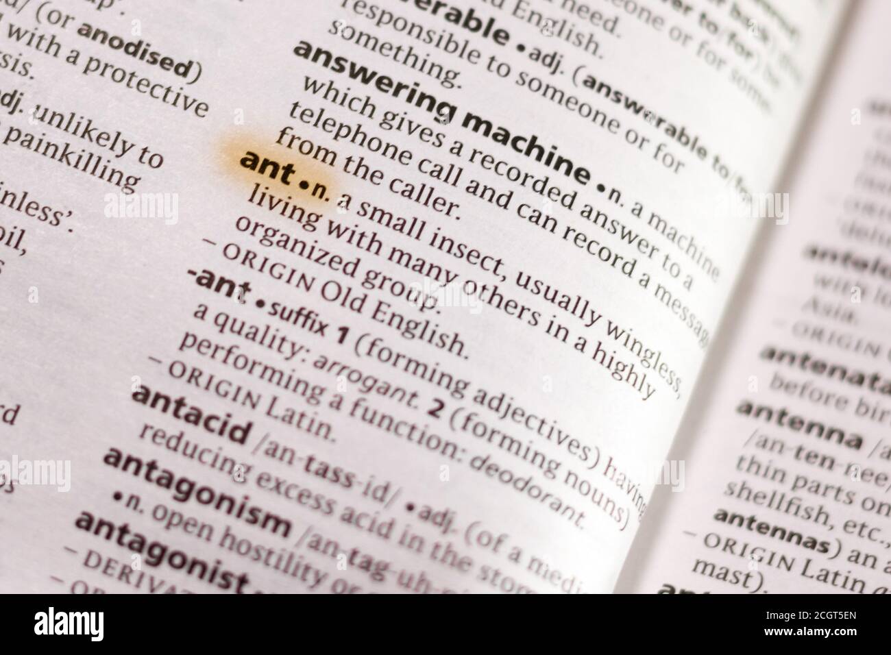 The word or phrase Ant in a dictionary highlighted with marker Stock ...