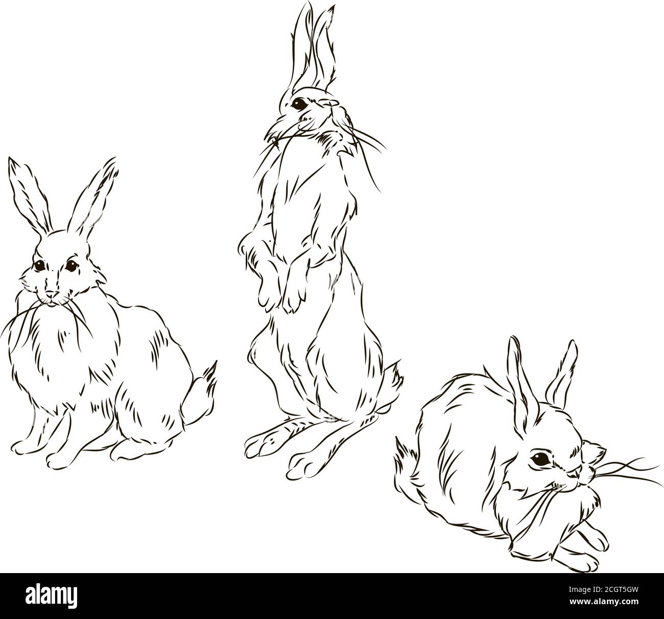 illustration the art of a watercolor drawing of three cute rabbits ...