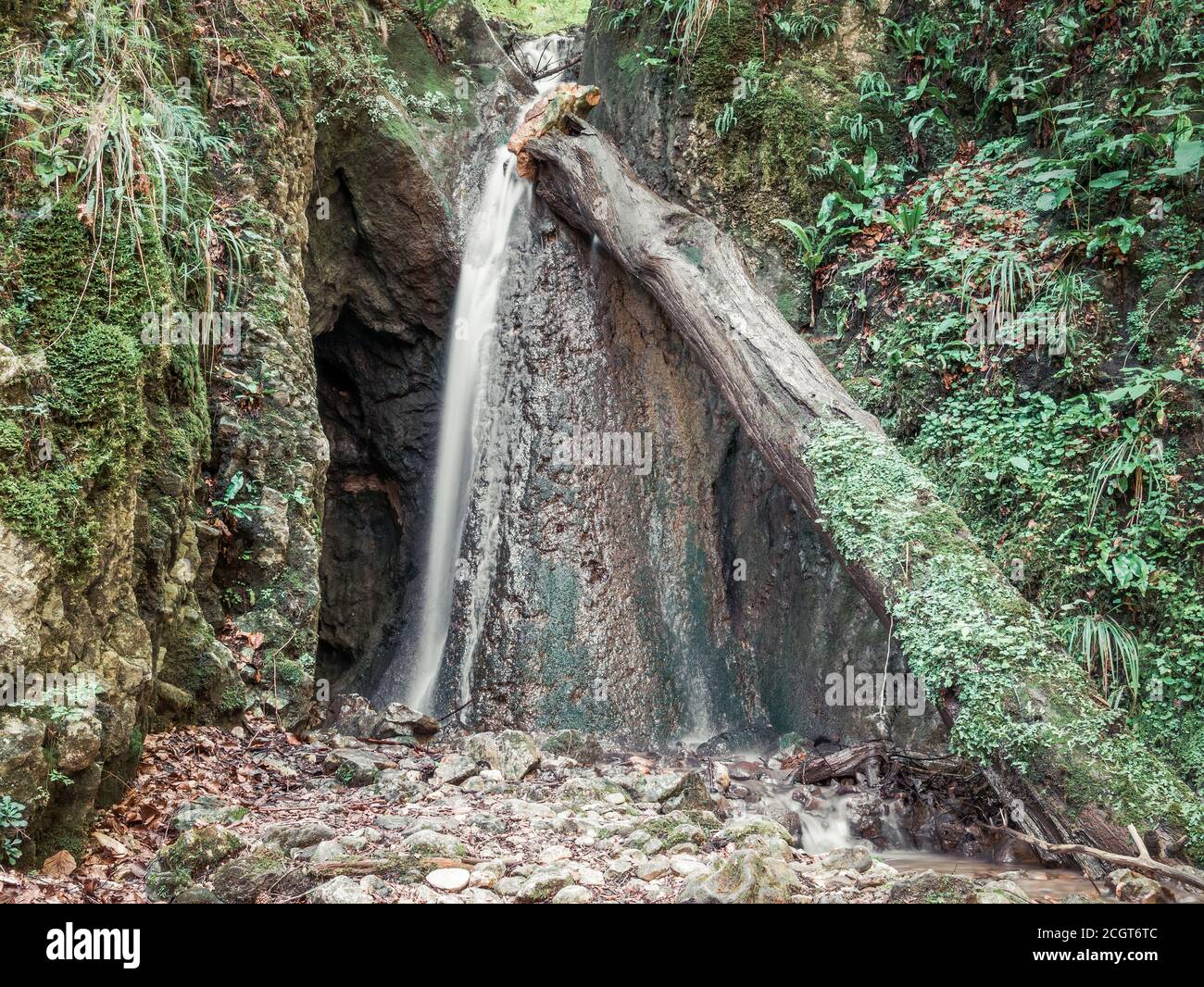 Mountain forest scenery with a stream of water or a small waterfall and ...