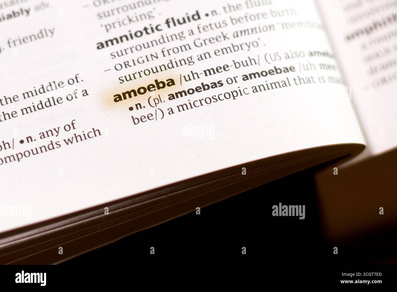 Amoeba hi-res stock photography and images - Alamy