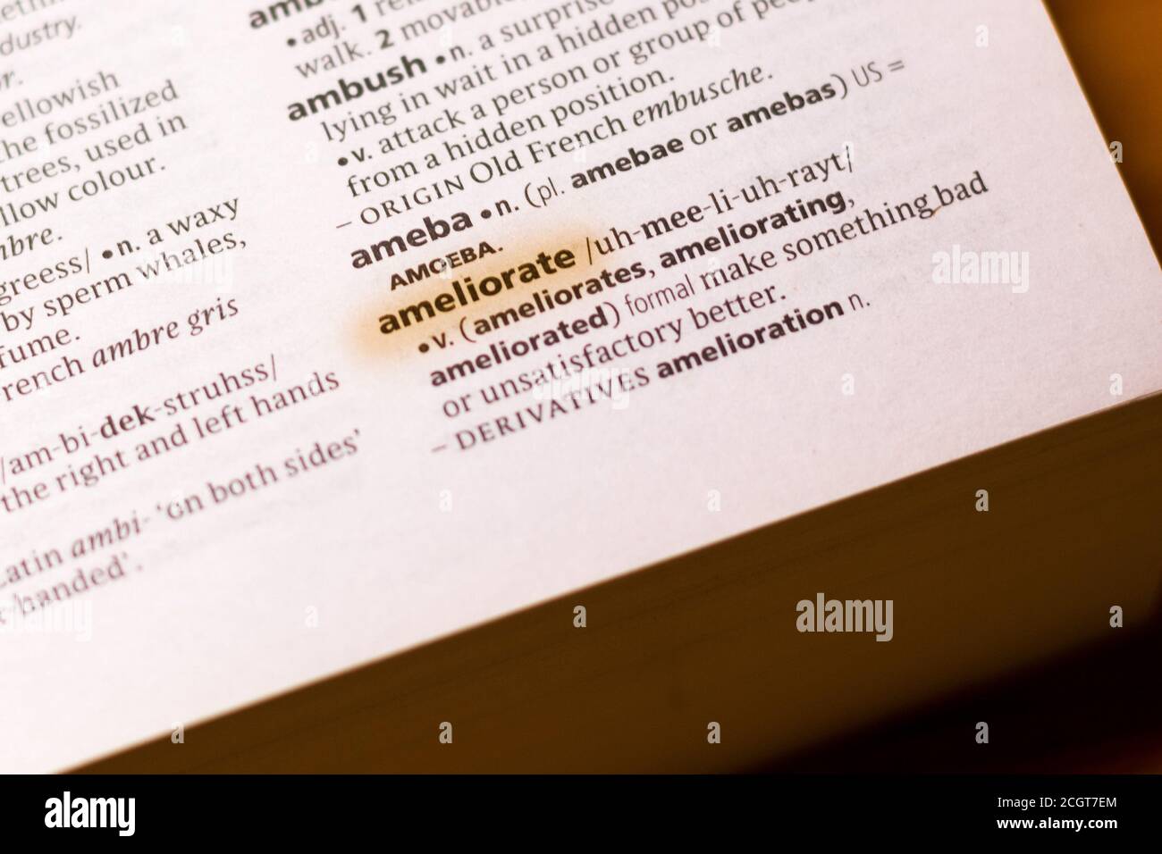 The word or phrase Ameliorate in a dictionary highlighted with marker ...