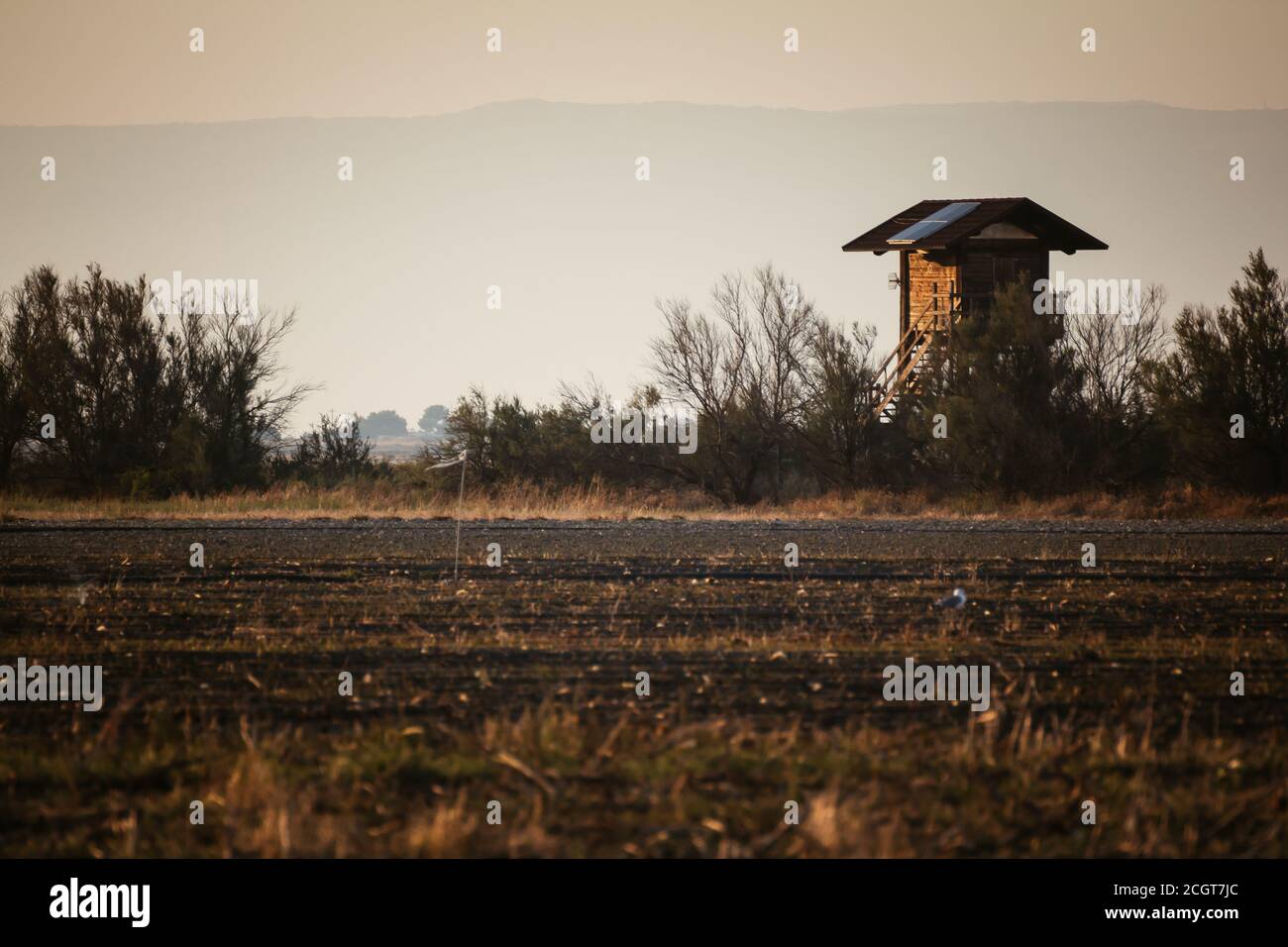 Birdwatching station in the middle of the land Stock Photo - Alamy