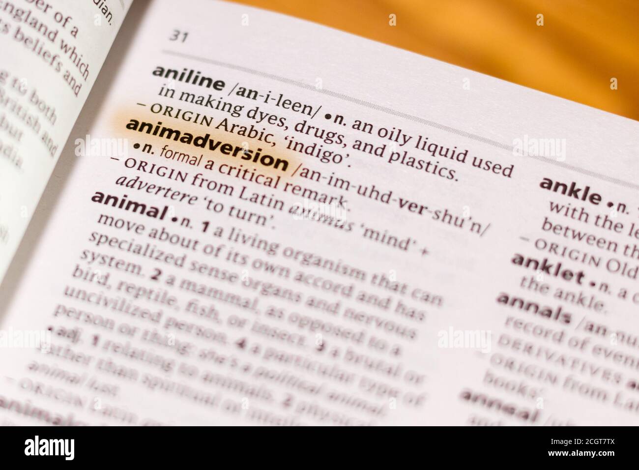 The word or phrase Animadversion in a dictionary highlighted with ...