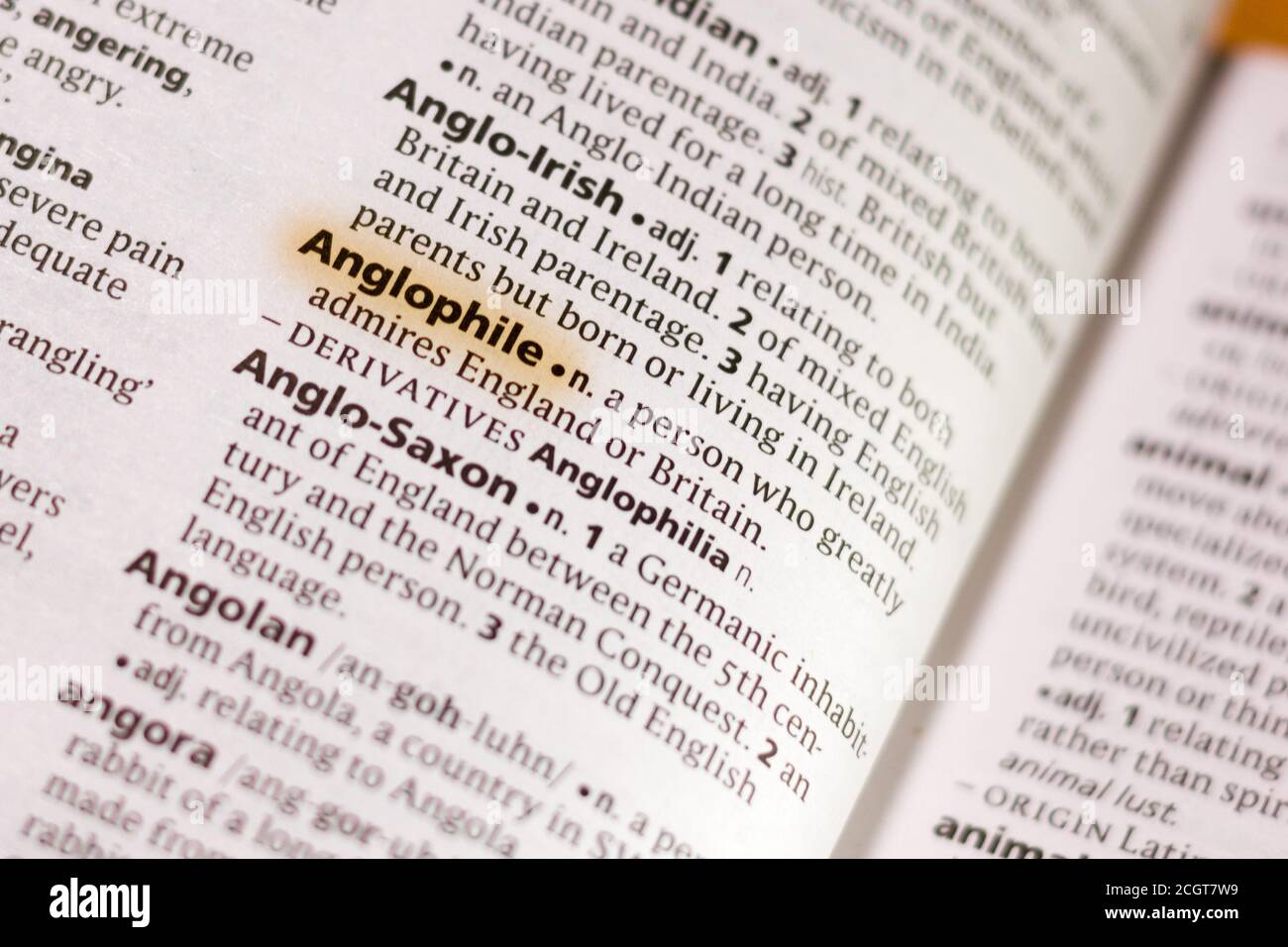 Anglophile High Resolution Stock Photography and Images - Alamy