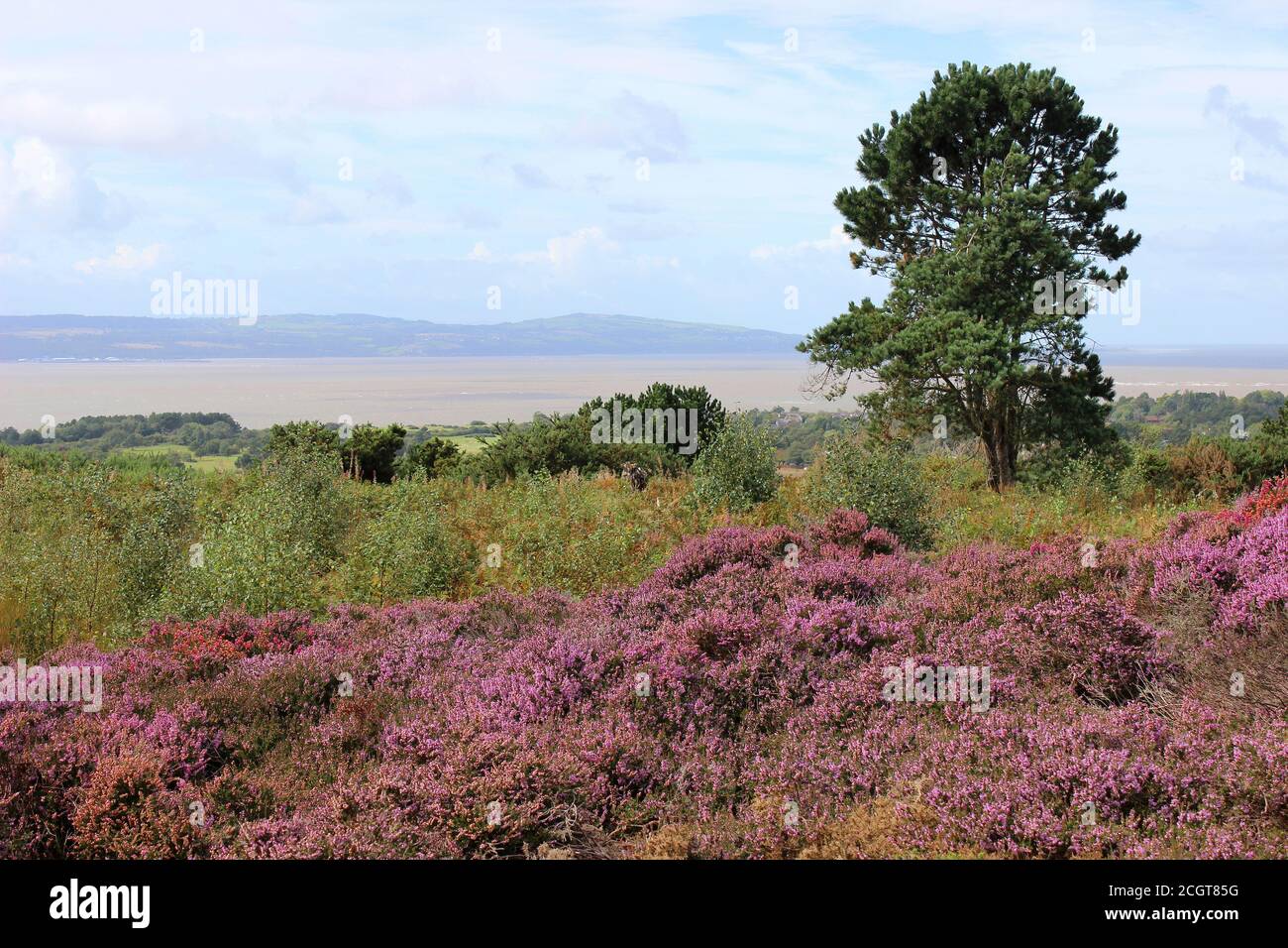 Wirral country park hi-res stock photography and images - Alamy