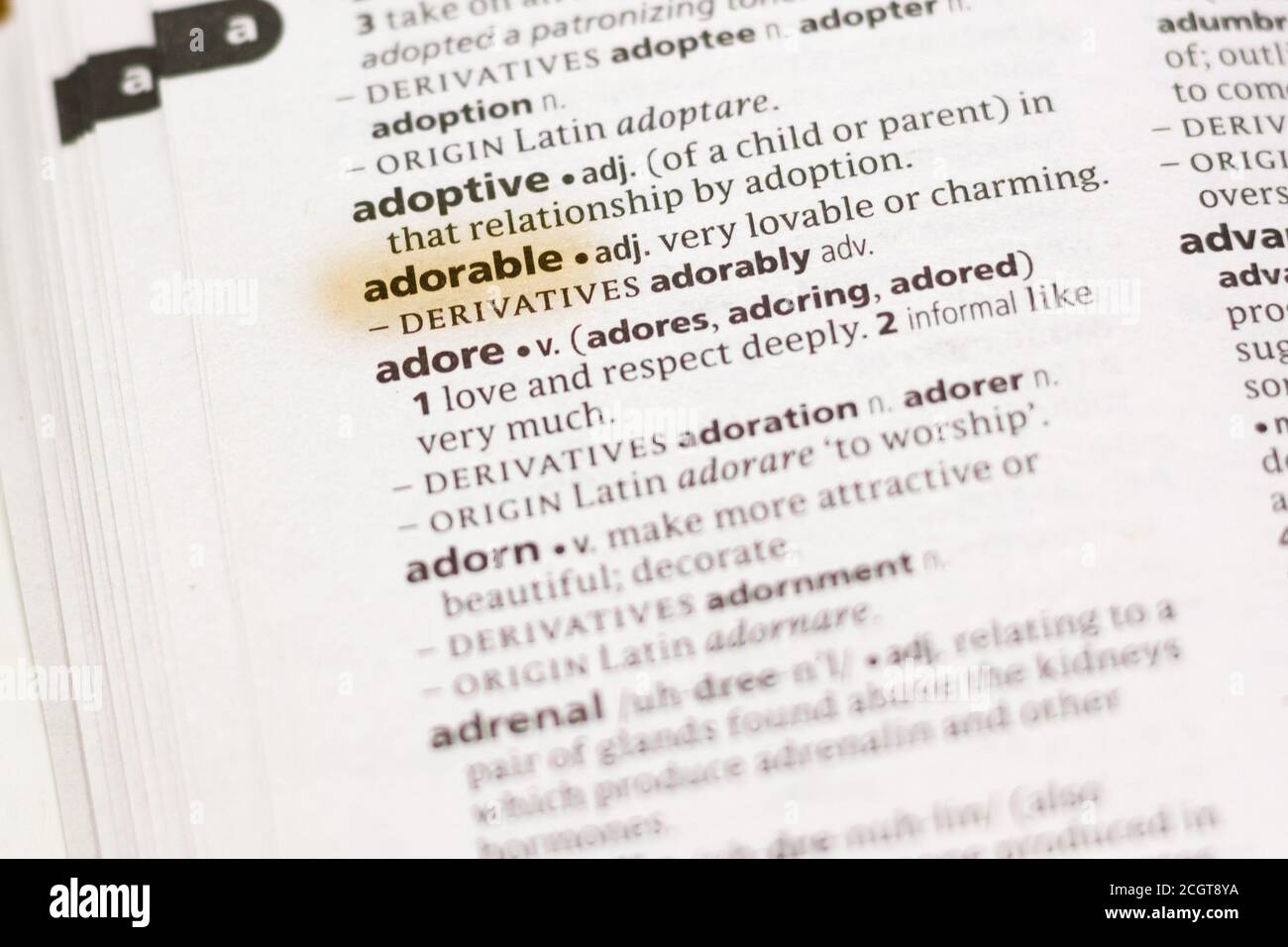 The word or phrase Adorable in a dictionary highlighted with marker ...