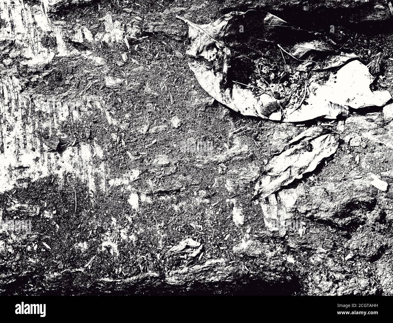 Black and white background texture. Useful background with grounge ...