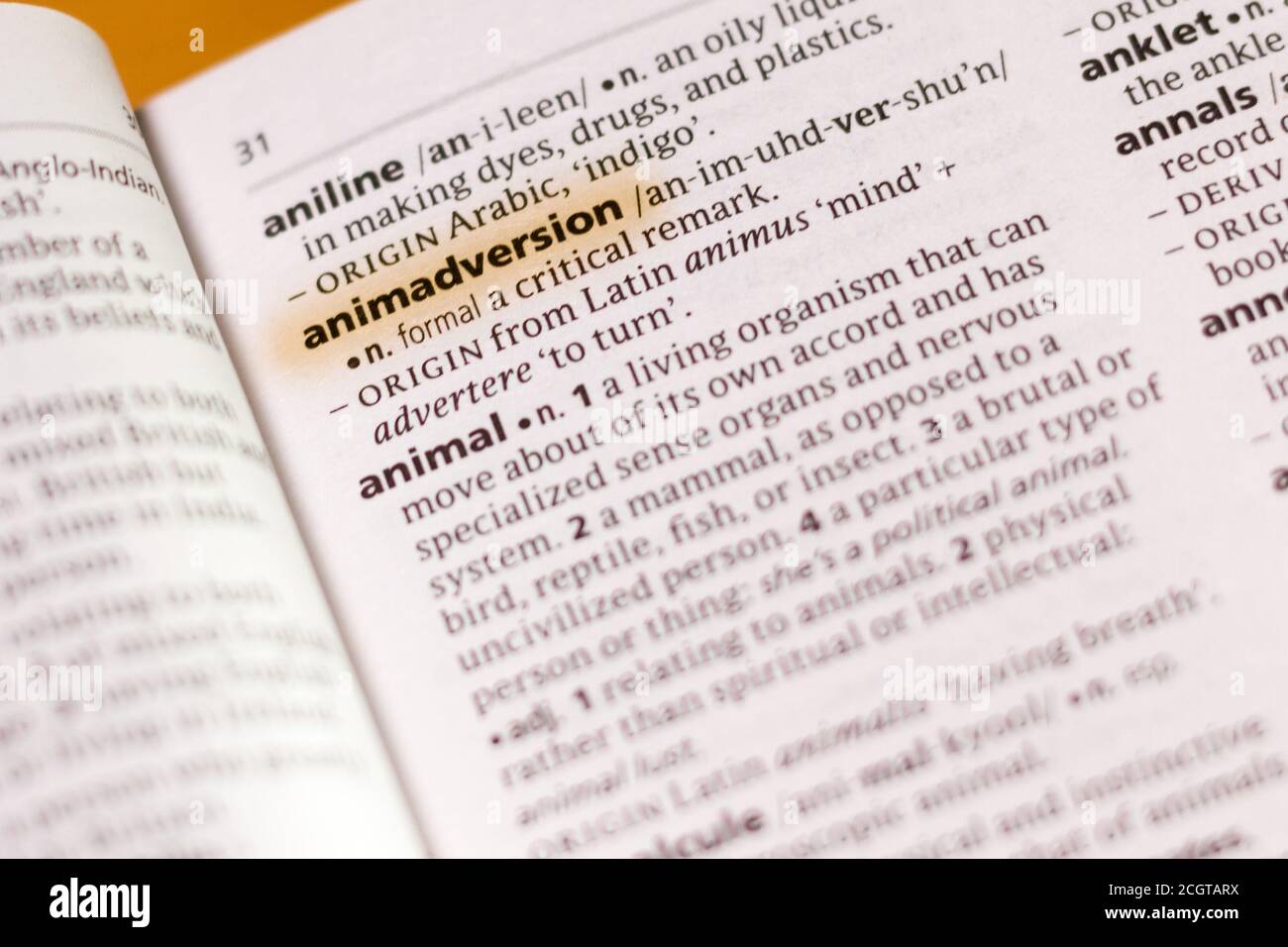 The word or phrase Animadversion in a dictionary highlighted with ...