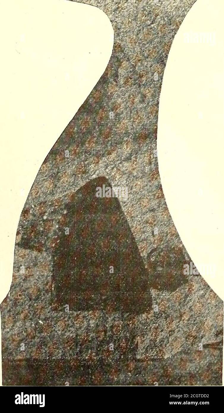 . Electric railway journal . This is the Griffin F. C. S. Wheel The ...