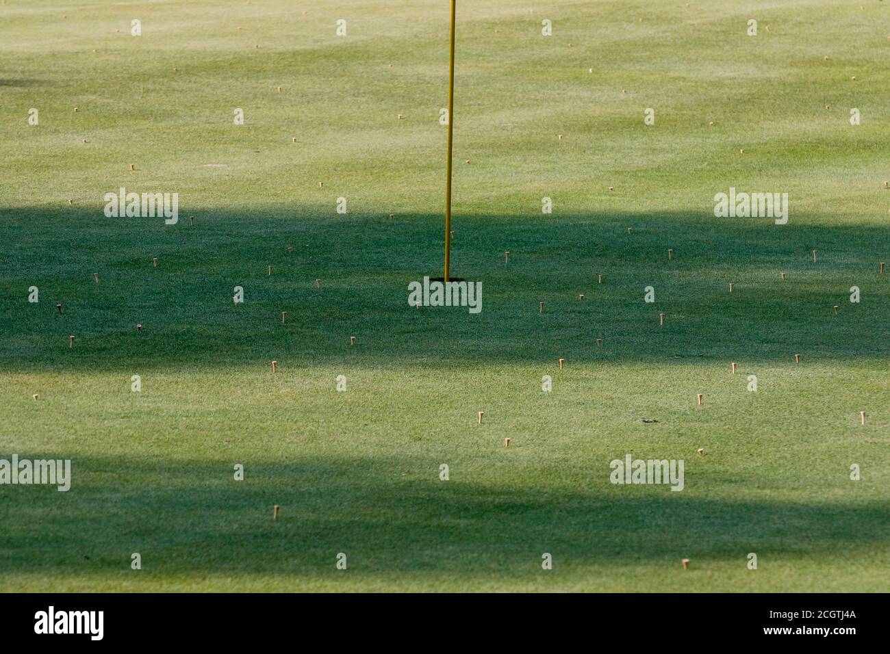 The Summer landscape golf course panorama and background Stock Photo ...