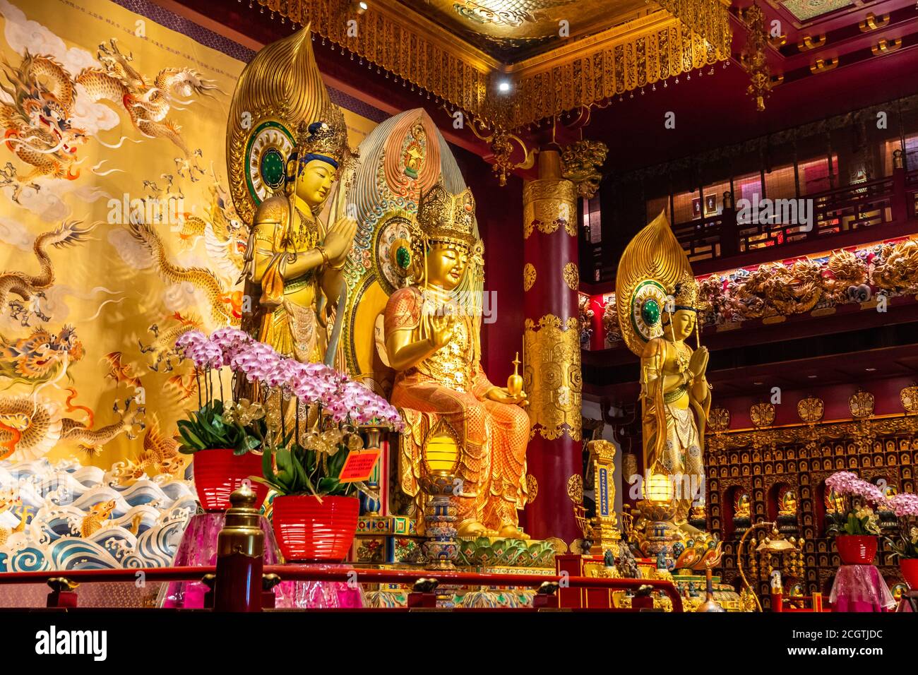 Tooth temple hi-res stock photography and images - Alamy