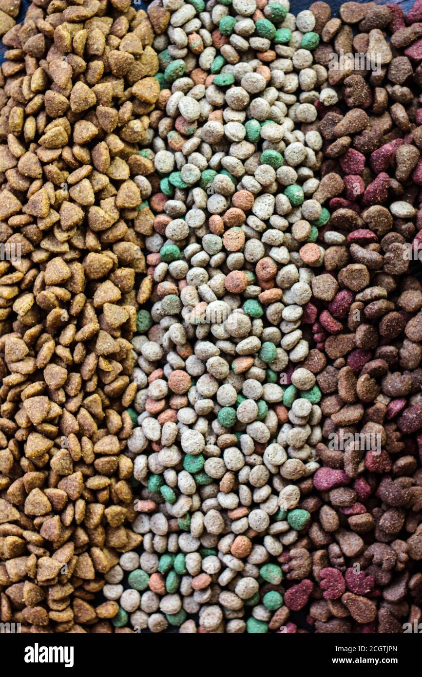 Top view of dry pet food background Stock Photo - Alamy