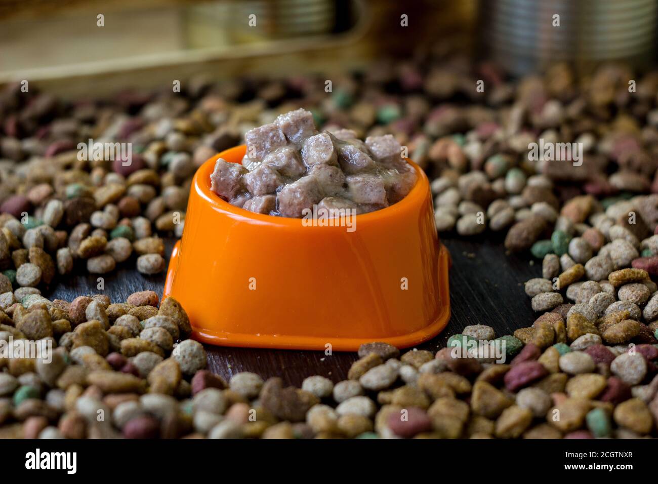 Wet pet food in pile hi-res stock photography and images - Alamy