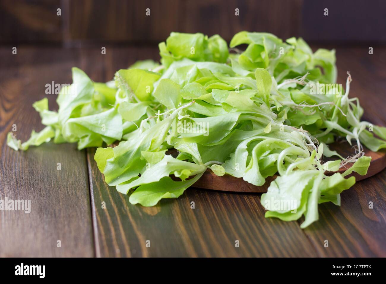 Green salad leaves on wooden board over table Stock Photo - Alamy