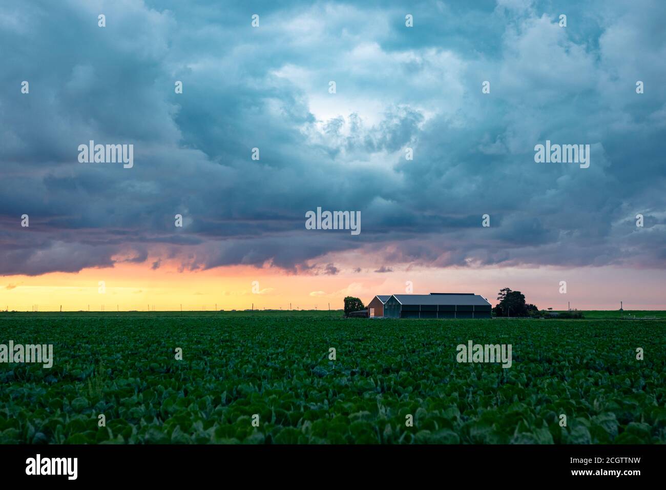 Beautiful colors in the sky and clouds over a farm Stock Photo - Alamy
