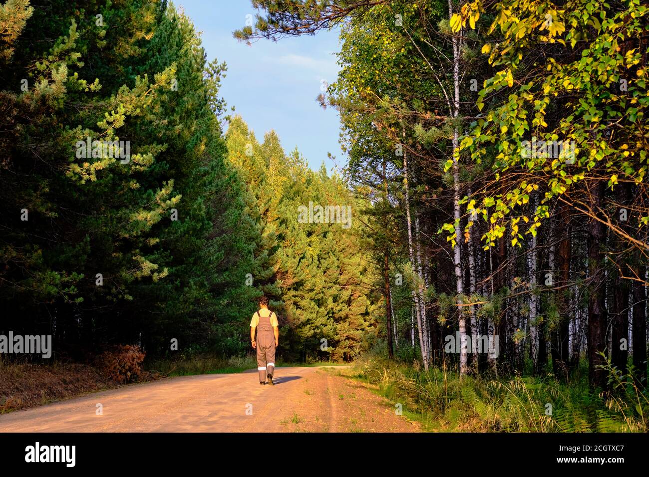 Man walks along forest road hi-res stock photography and images - Alamy