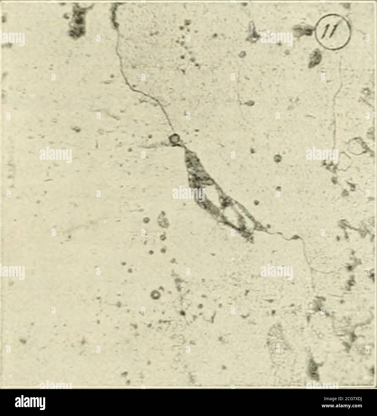 Acetylene tanks hi-res stock photography and images - Alamy