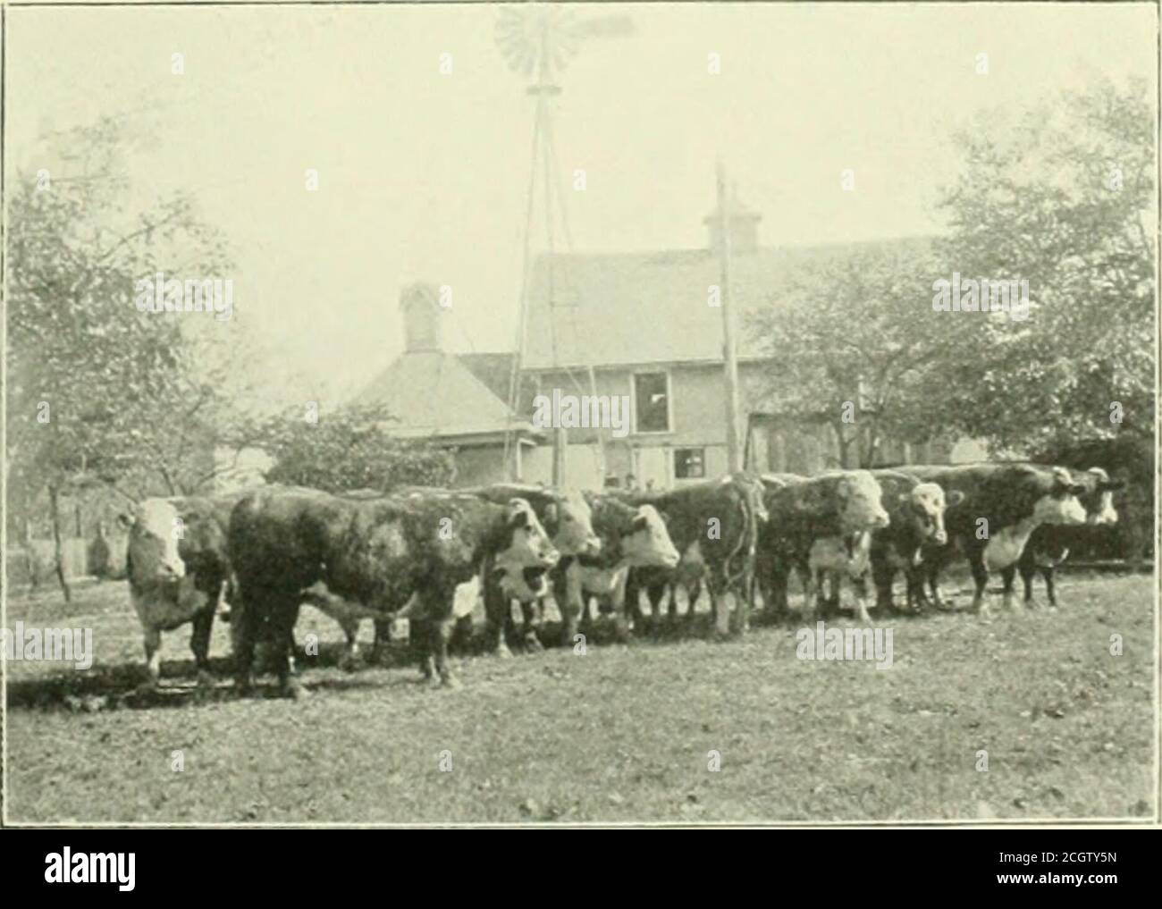 . Book of the Royal blue . liKli-TOl SKKli liKAIiV Klli SlIllMK.NT FKOM ...